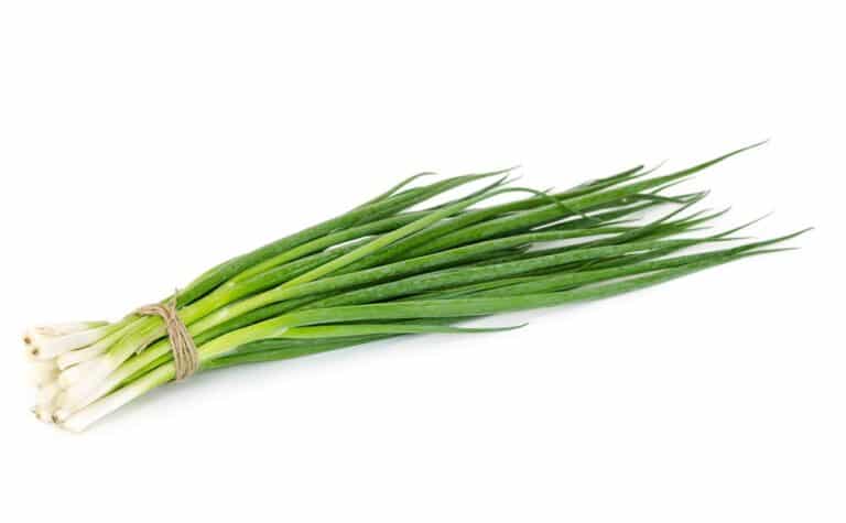 How To Store Spring Onion in Easy Steps - Fas Kitchen