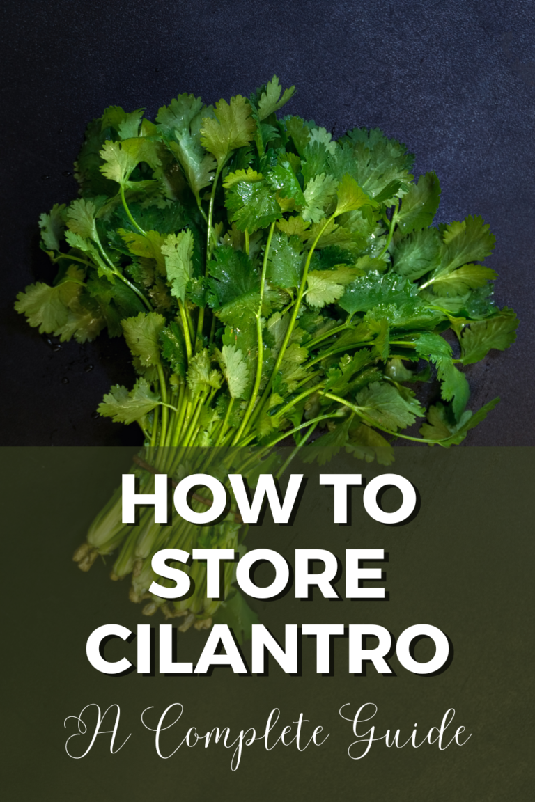 How To Store Cilantro: Keeping Your Magic Herb Fresh and Flavorful ...