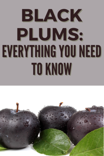 Black Plums 101: Easy Guide of Benefits, Storage, Uses, FAQs, - Fas Kitchen