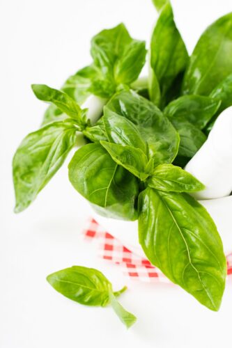 How To Store Fresh Basil In 3 Different & Easy Methods - Fas Kitchen