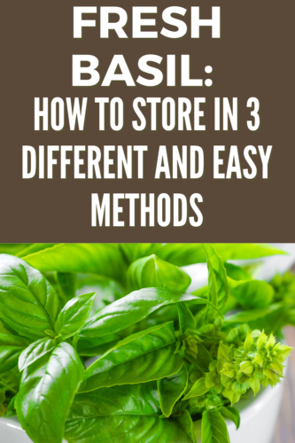 How To Store Fresh Basil In 3 Different & Easy Methods - Fas Kitchen