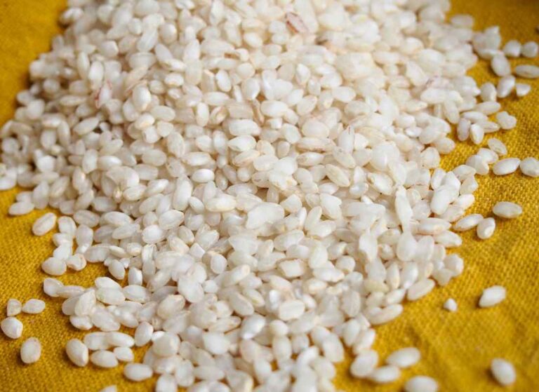Bomba Rice: Unlocking the Culinary Magic of this Unique Spanish Grain ...