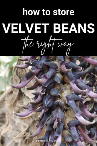 Velvet Beans 101: Nutrition, Benefits, How To Cook, Buy, Store A Complete Guide - Fas Kitchen