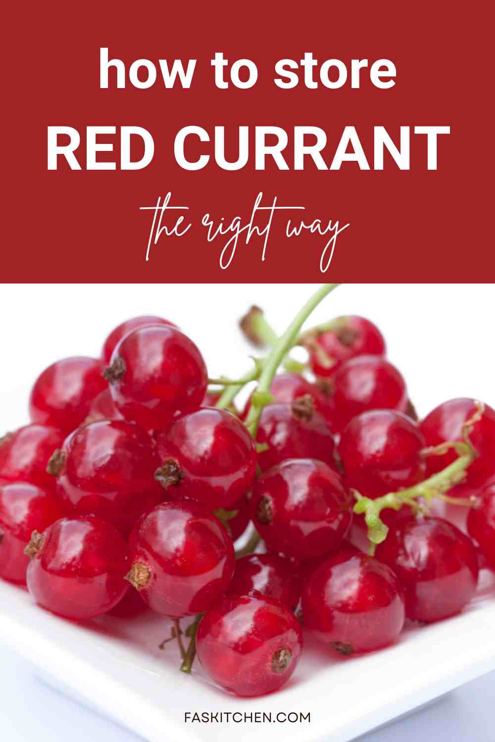 Red Currant 101: Nutrition, Benefits, How To Use, Buy, Store | Red ...