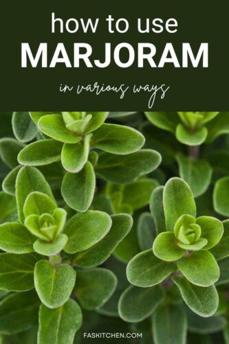 Marjoram 101: Nutrition, Benefits, How To Use, Buy, Store | Marjoram: A ...