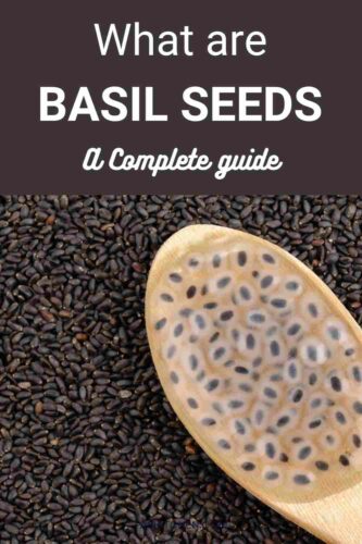 Basil Seeds 101: Nutrition, Benefits, How To Use, Buy, Store | Basil ...