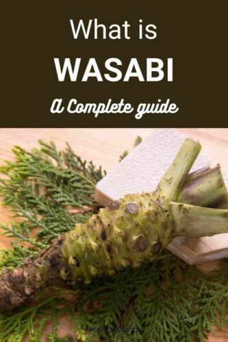 Wasabi 101: Nutrition, Benefits, How To Use, Buy, Store | Wasabi: A ...